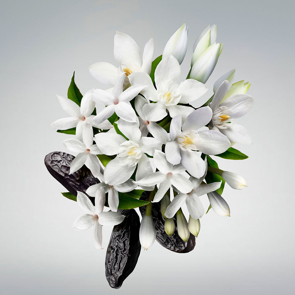 GOOD GIRL body cream Body moisturisers Carolina Herrera - Perfumes Club