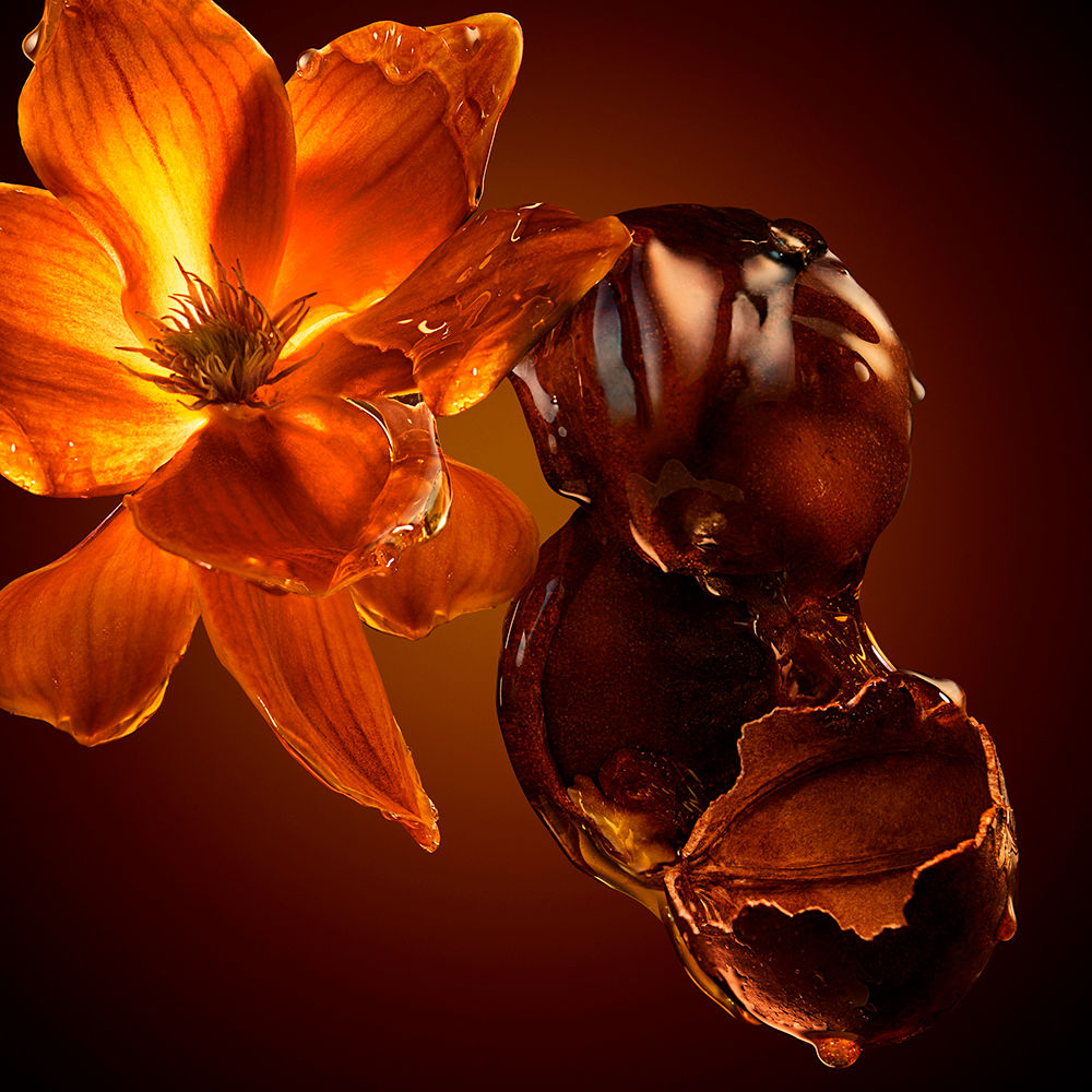 THE SCENT INTENSE parfum EDP · Beste Prijzen Online - Perfumes Club